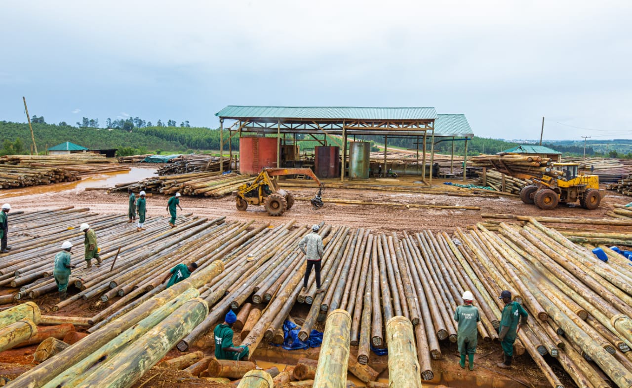 Tanganyika Wattle Company Limited