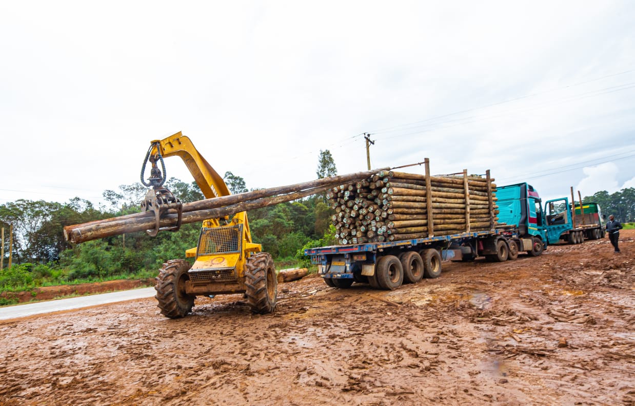 Tanganyika Wattle Company Limited